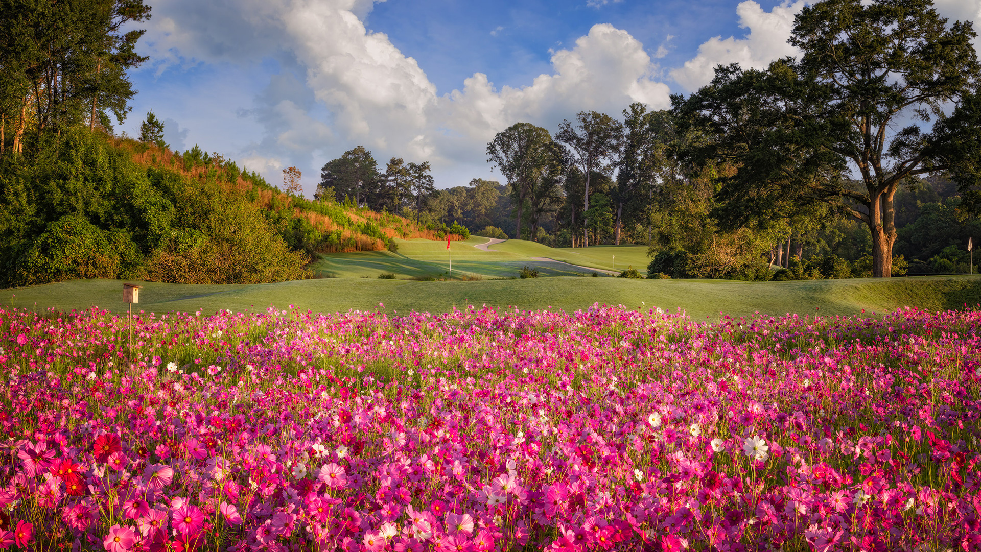Home - Bobby Jones Golf Course